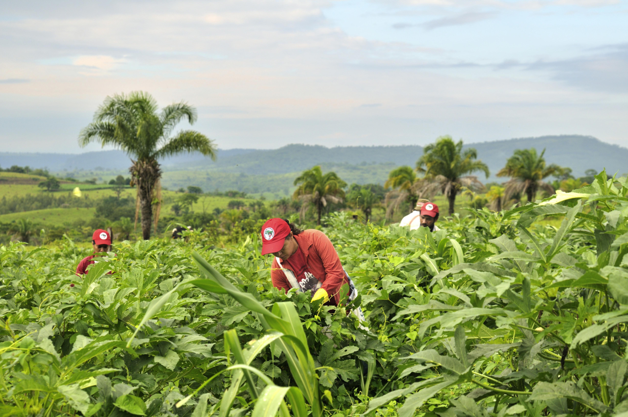 Mouvement des sans-terre : « Lutter pour la terre, et changer de ...